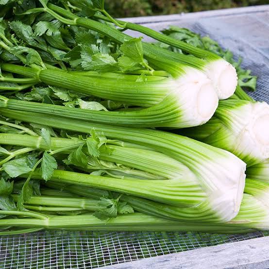 Celery/bunch – Mysthill Farm